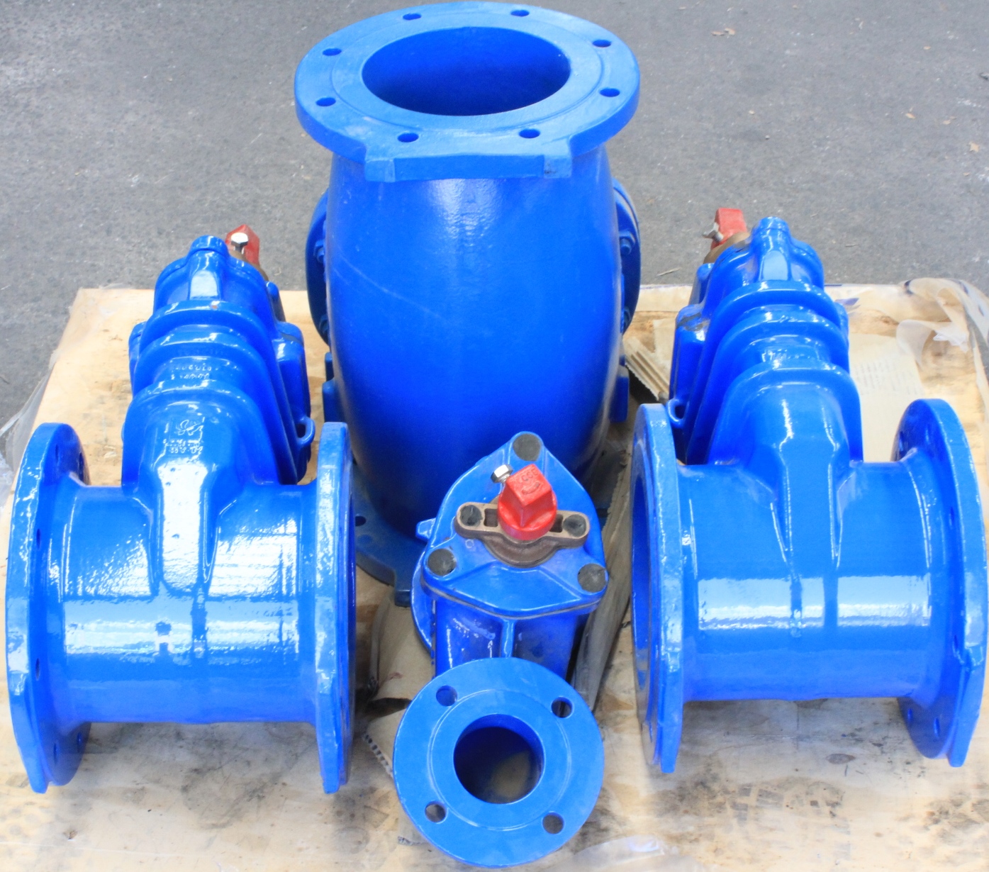 One 200mm Dobbie Swing Check Valve - Lot 900003 | ALLBIDS