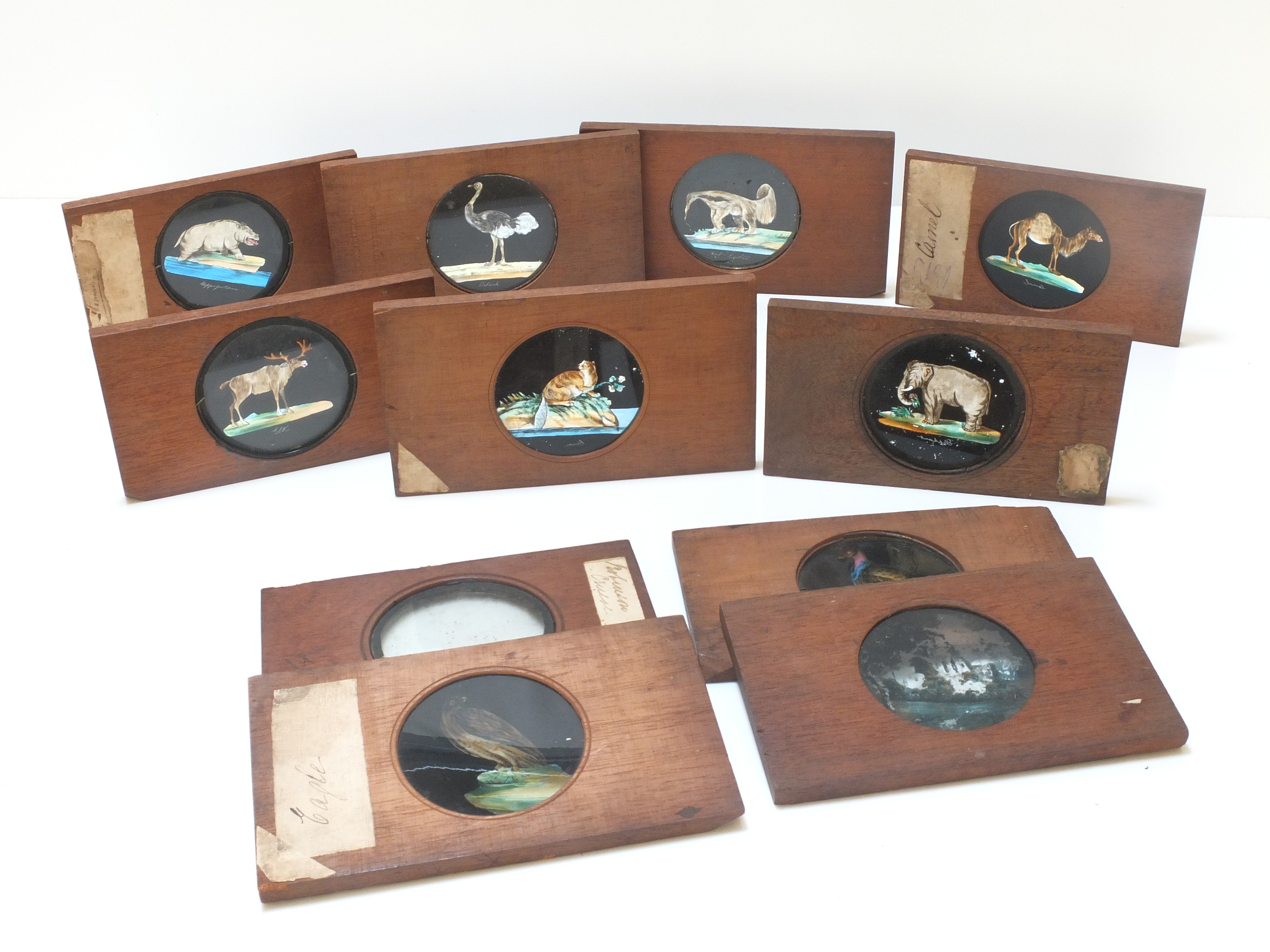 Various Antique Mounted Glass Slides - Lot 913624 | ALLBIDS