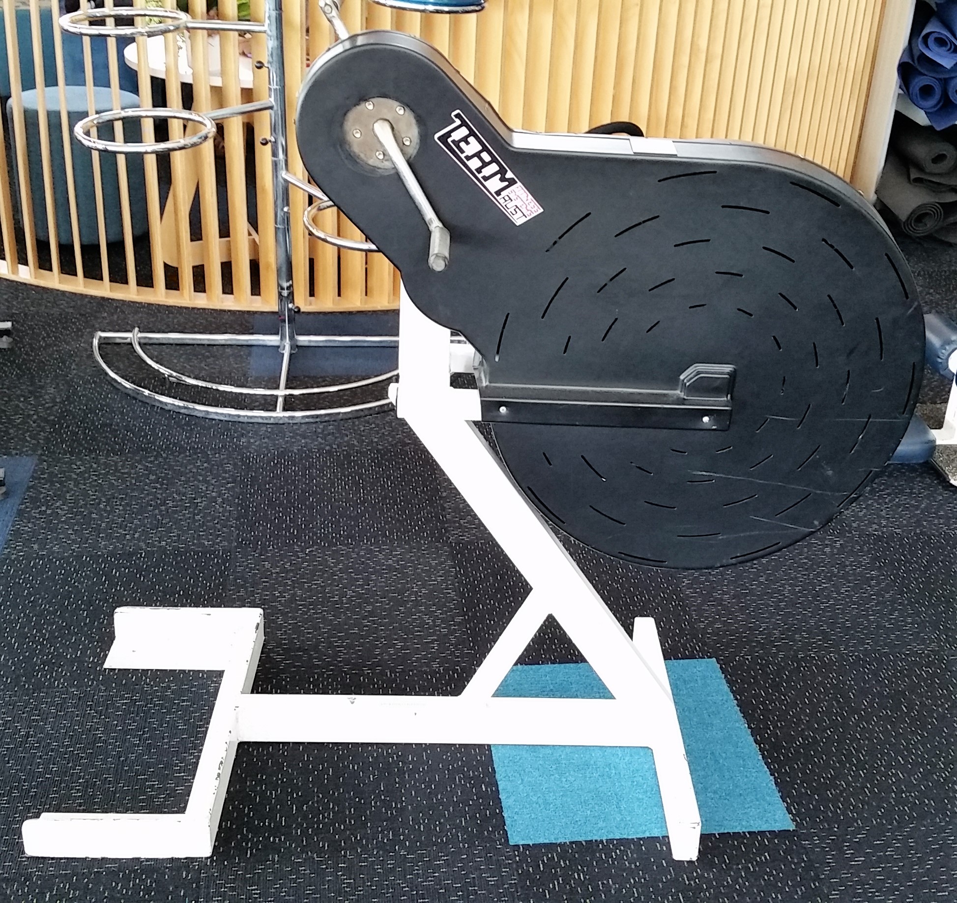 Team Arm Bike Commercial Grade - Lot 917948 | ALLBIDS