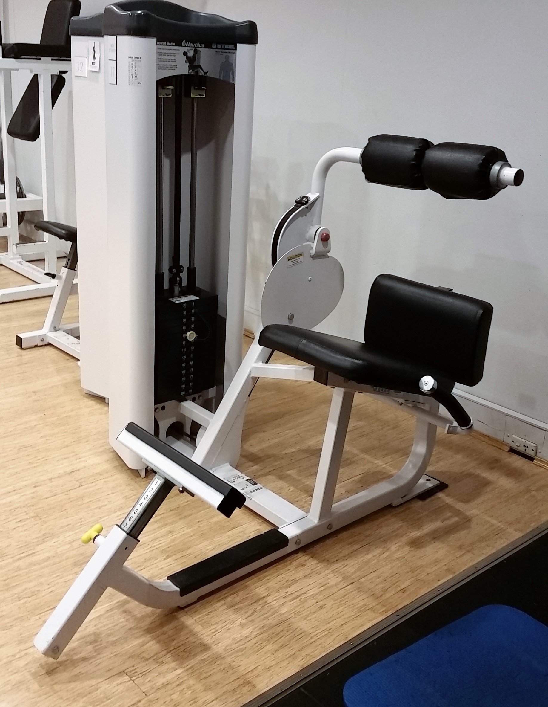 Nautilus Nitro Lower Back Commercial - Lot 917877 | ALLBIDS