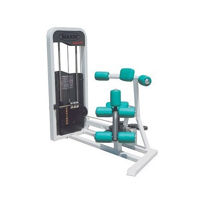 Maxim Rotary Torso Pin Loaded Machine - Lot 949498 | ALLBIDS