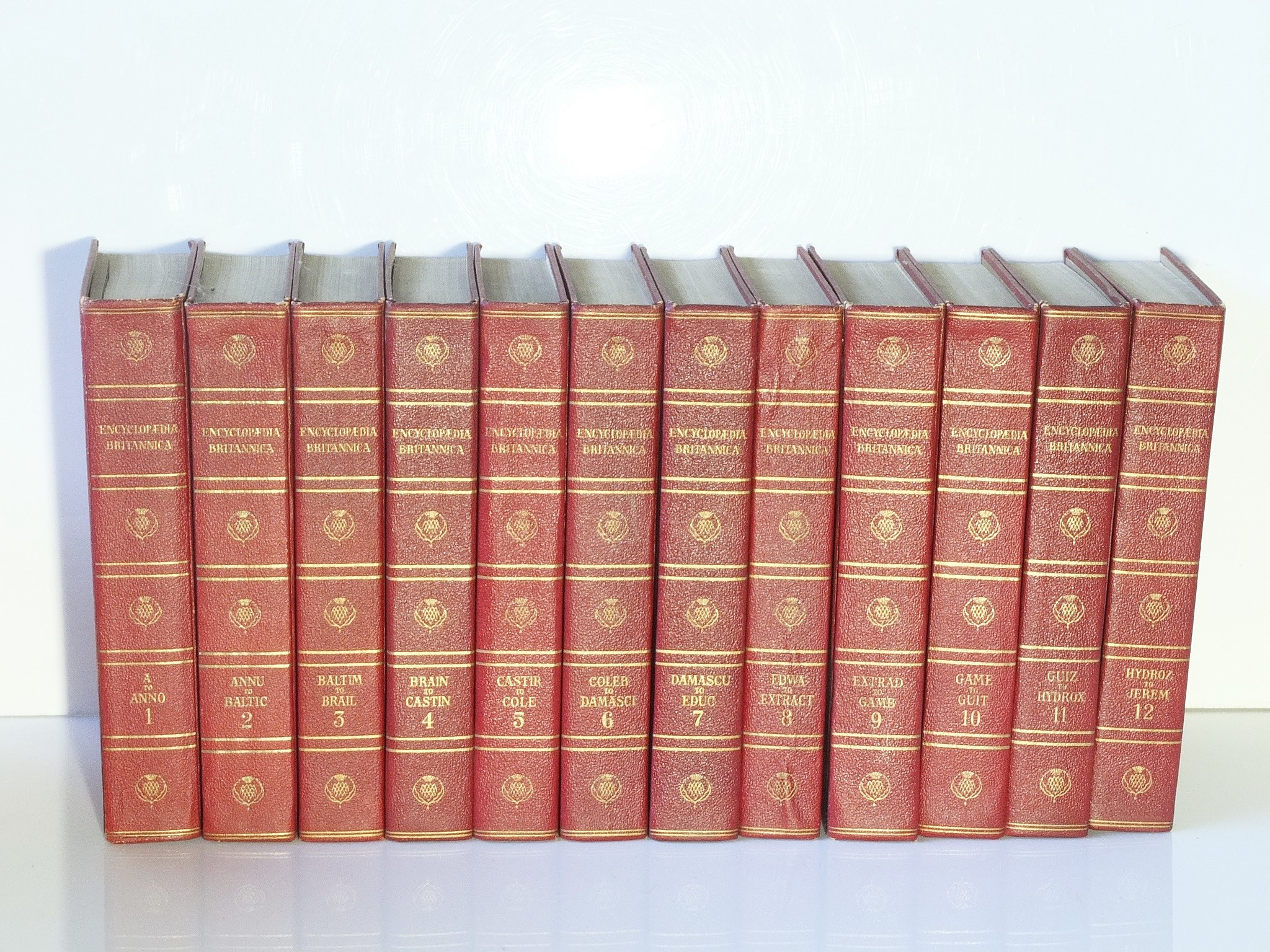 24 Volumes of Encyclopaedia Britannica - Lot 1004975 | ALLBIDS