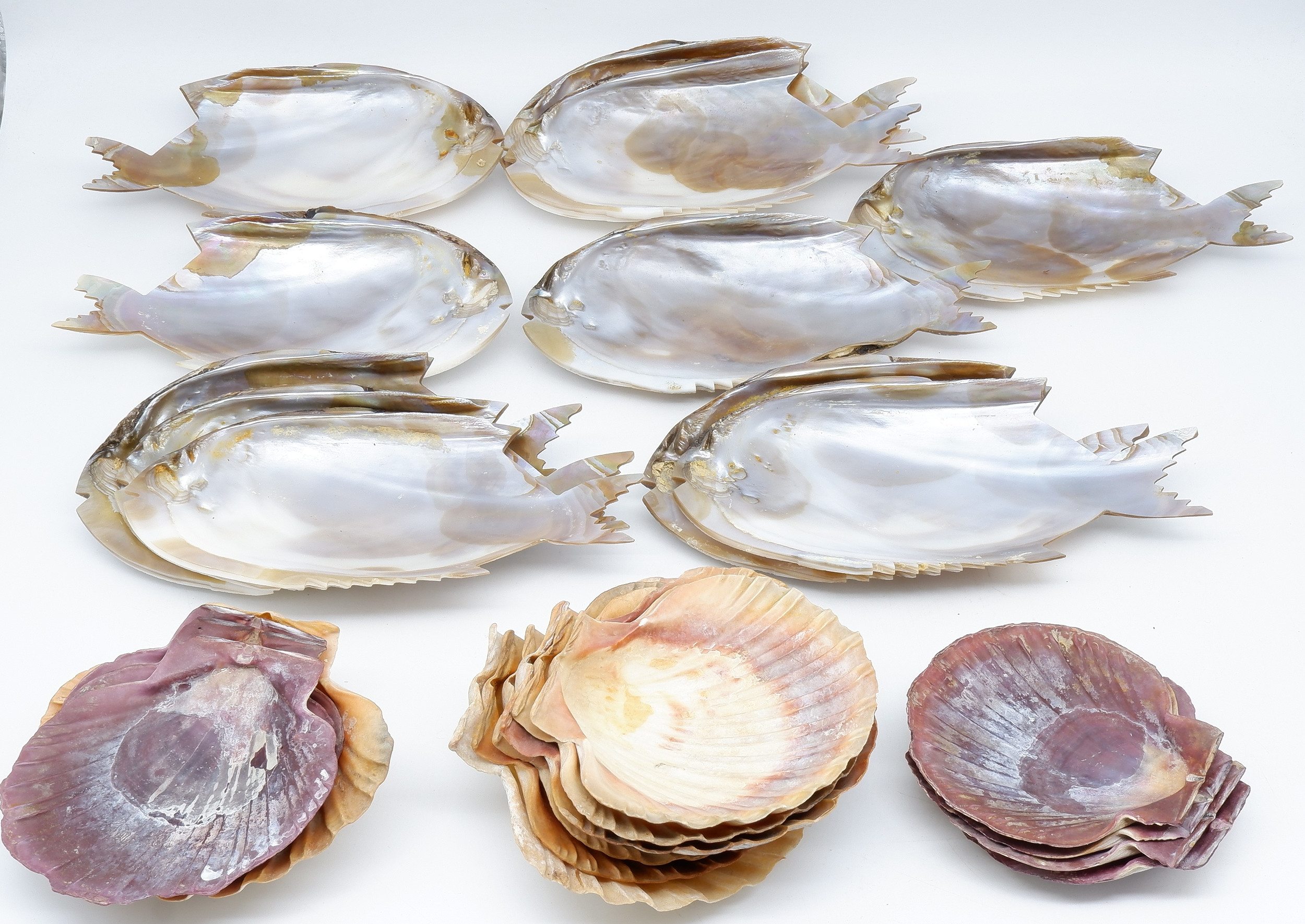 Carved Abalone Shell Dishes and - Lot 1044390 | ALLBIDS