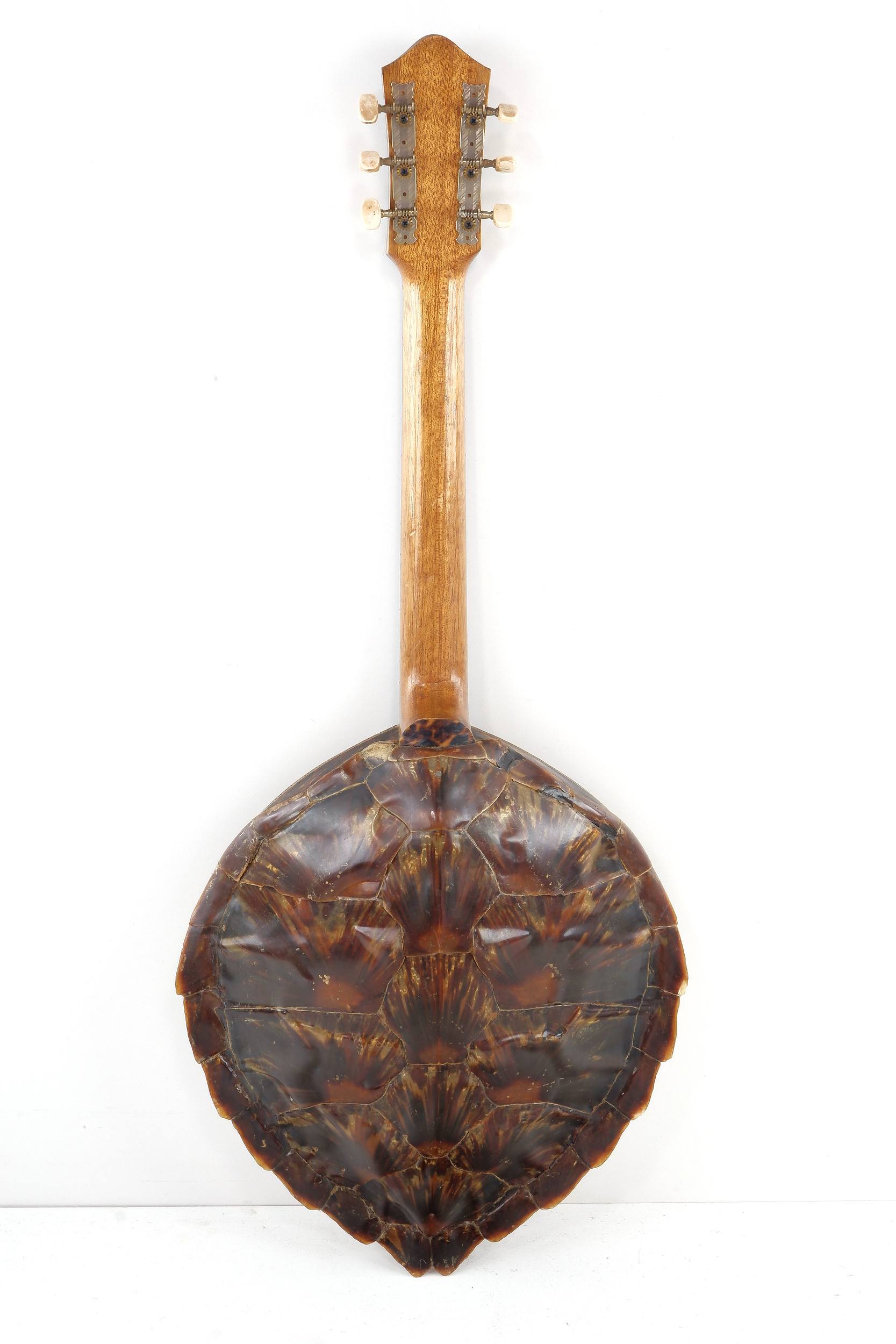 Fantastic Bespoke Tortoise Shell - Lot 1110475 | ALLBIDS